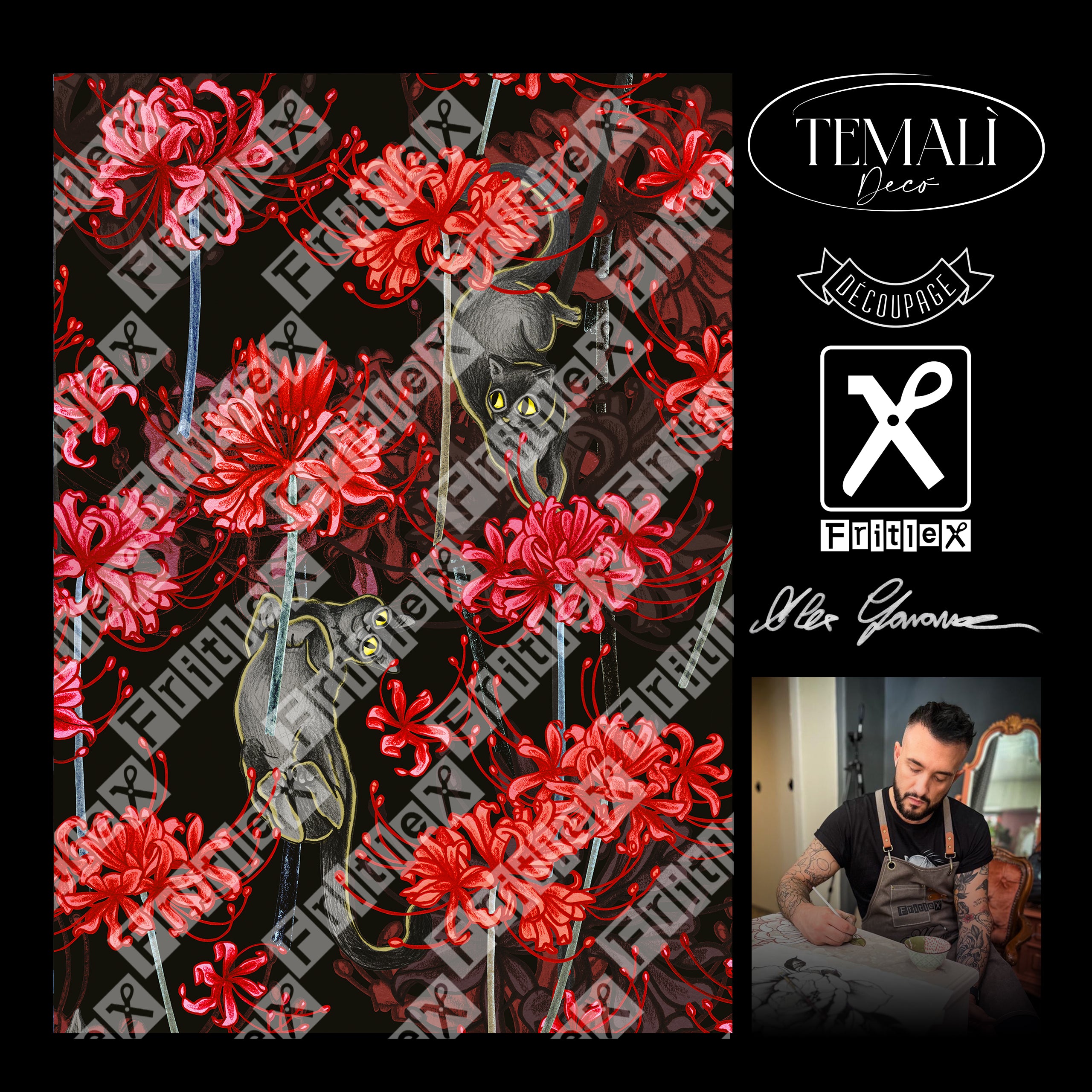 Dècoupage Collezione Alex - Lycoris (1° parte) – Magic Paint